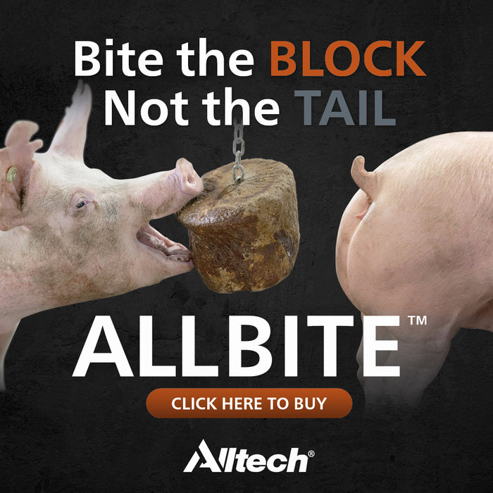 AllBite™ - Tail Biting Solution for Pigs.