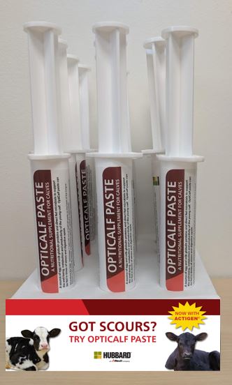 OptiCalf® Paste Supplement from Alltech