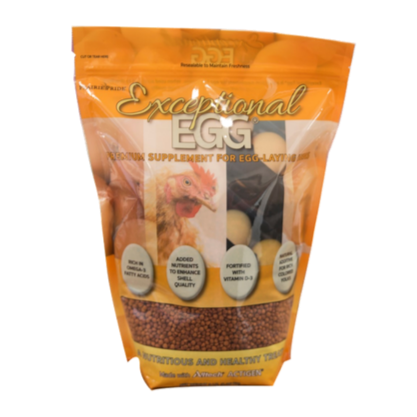 Poultry Health Supplements and Technologies from Alltech®